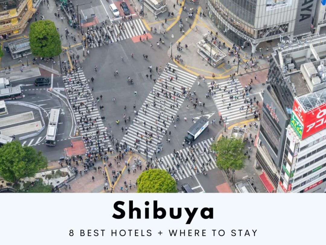 The 8 Top Rated Hotels In Shibuya Tokyo (For All Budgets)